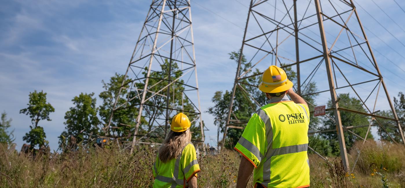 PSEG Corporate Home Page