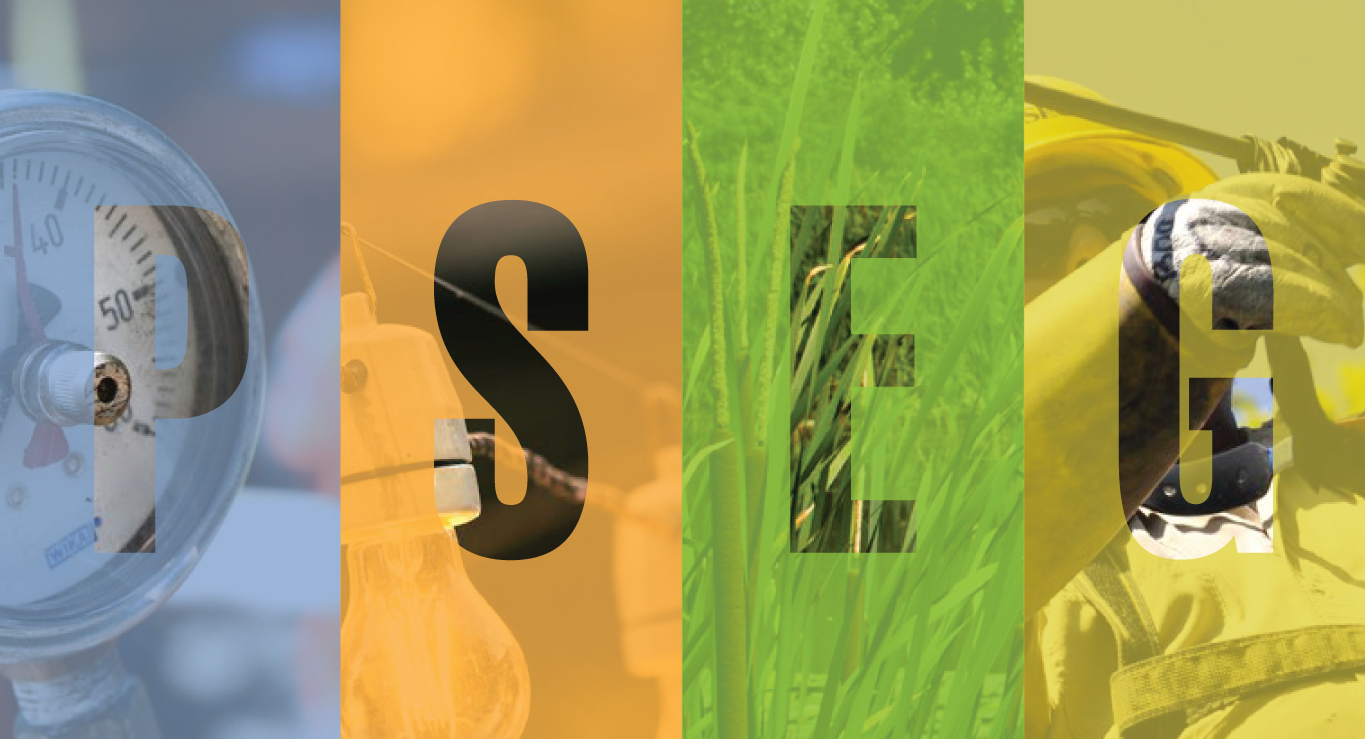 2017 Sustainability Report