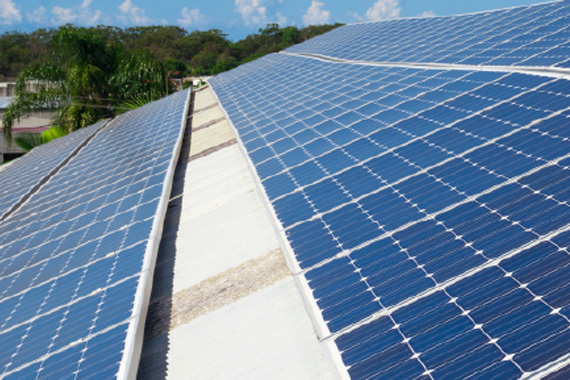 PSEG Corporate Home Page